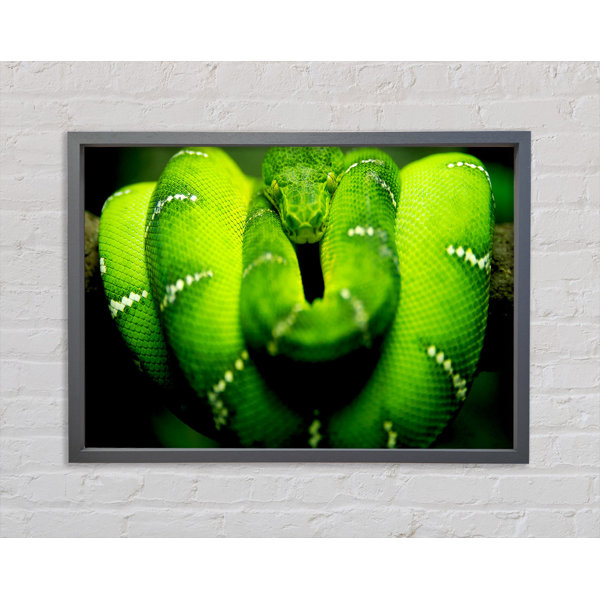 Ebern Designs Grüne Schlange - Einzelner Bilderrahmen Kunstdrucke auf Leinwand | Wayfair.de